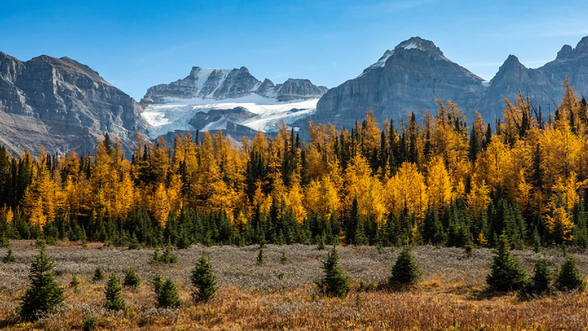 Canadian Utilities | Global Operations